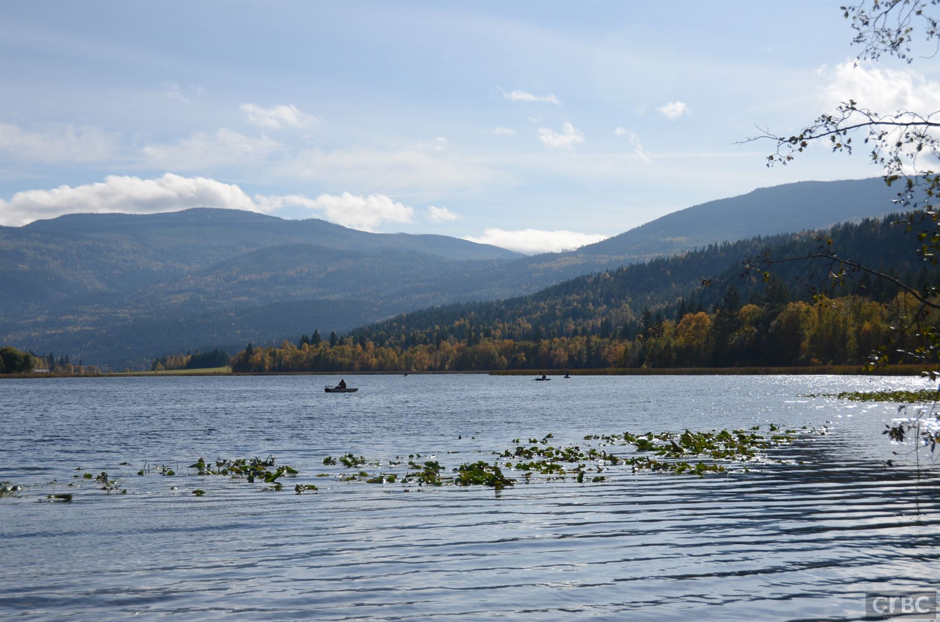 Locations Hub - Phillips Lake in Turtle Valley