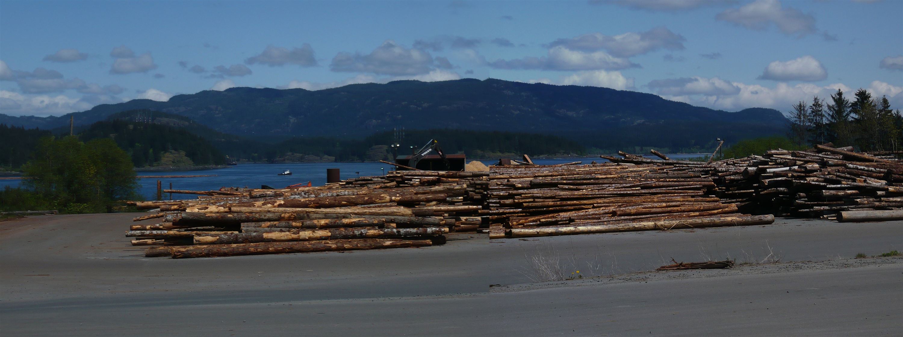 Locations Hub - Menzies Bay Log Sort