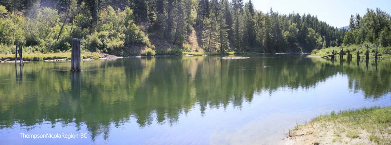 Locations Hub - Adams Lake at Adams River - Toops Way DECOMMISSIONED