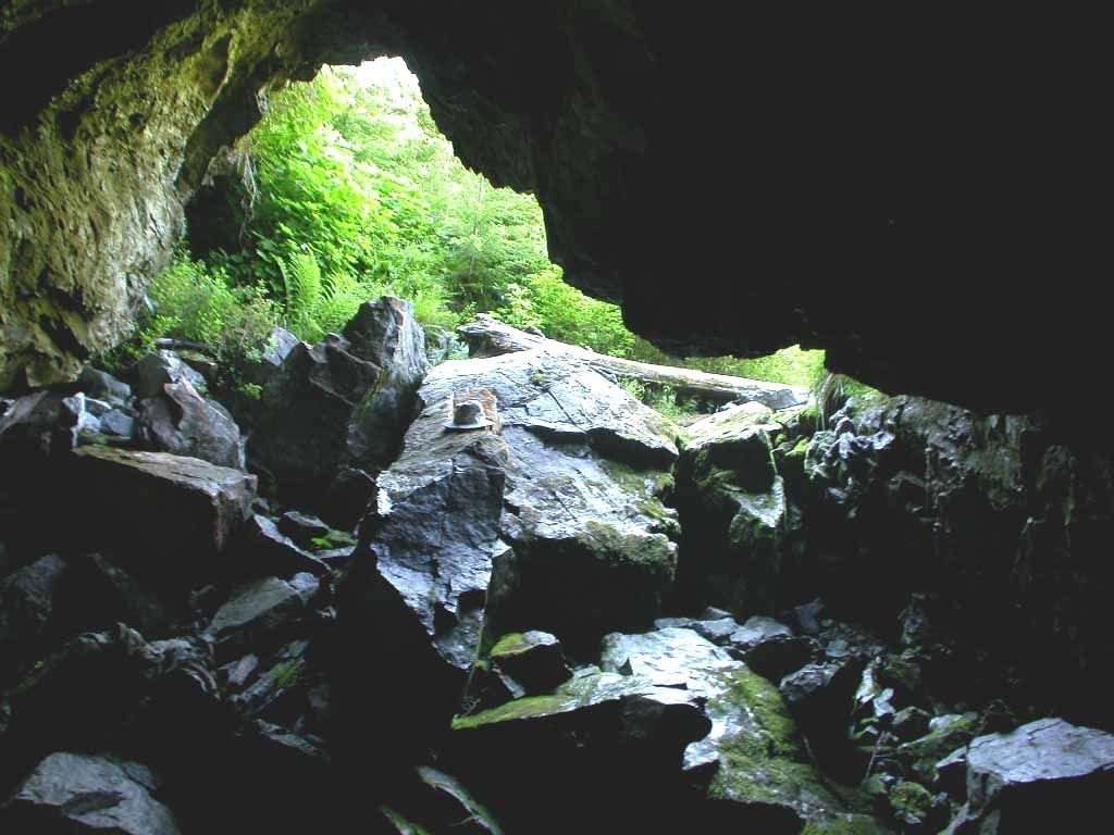 Locations Hub - Coral Cave