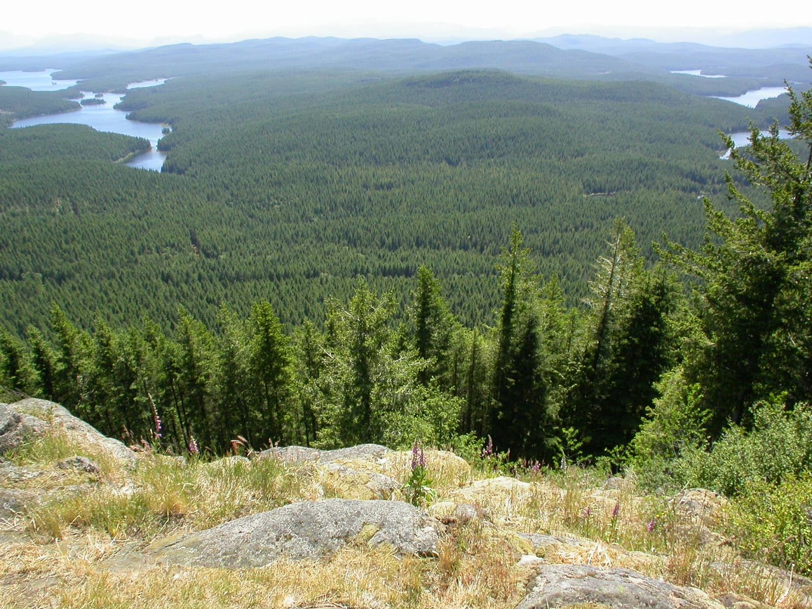 Locations Hub - Menzies Mountain Lookout