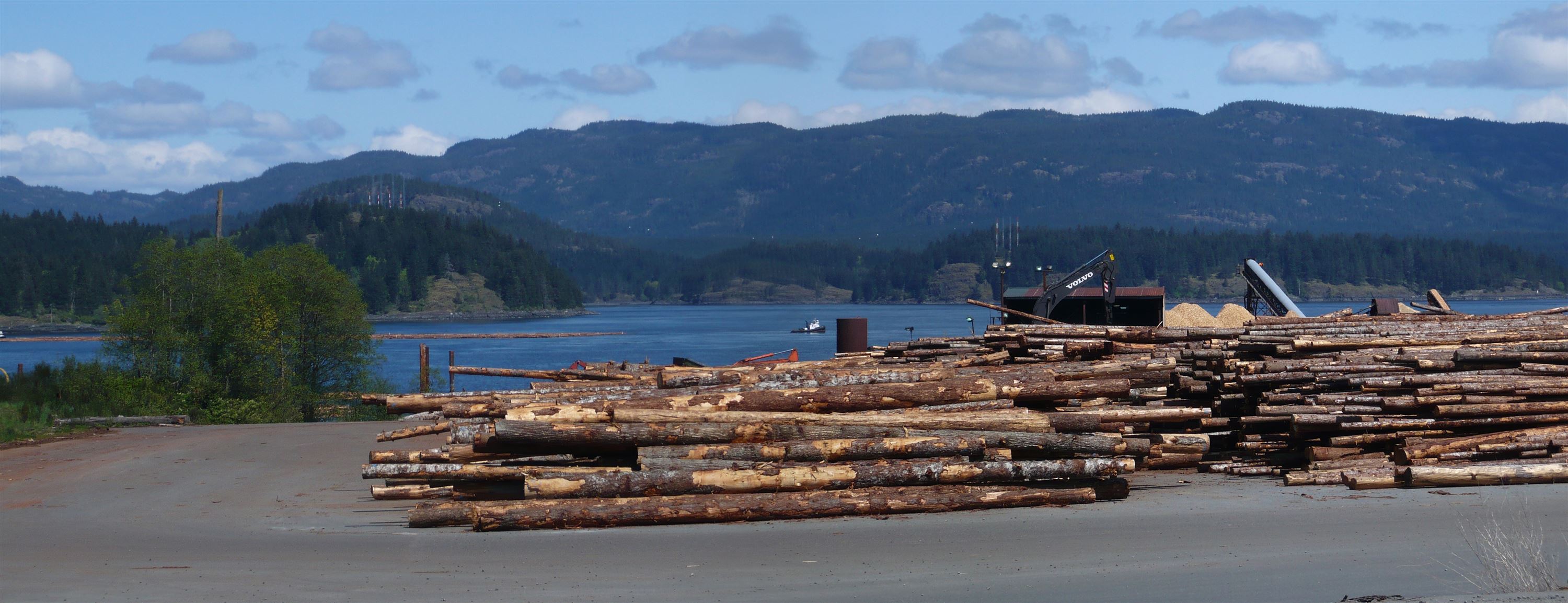 Locations Hub - Menzies Bay Log Sort