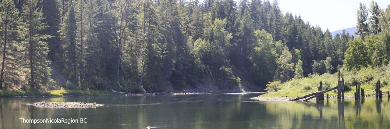 Locations Hub - Adams Lake at Adams River - Toops Way DECOMMISSIONED
