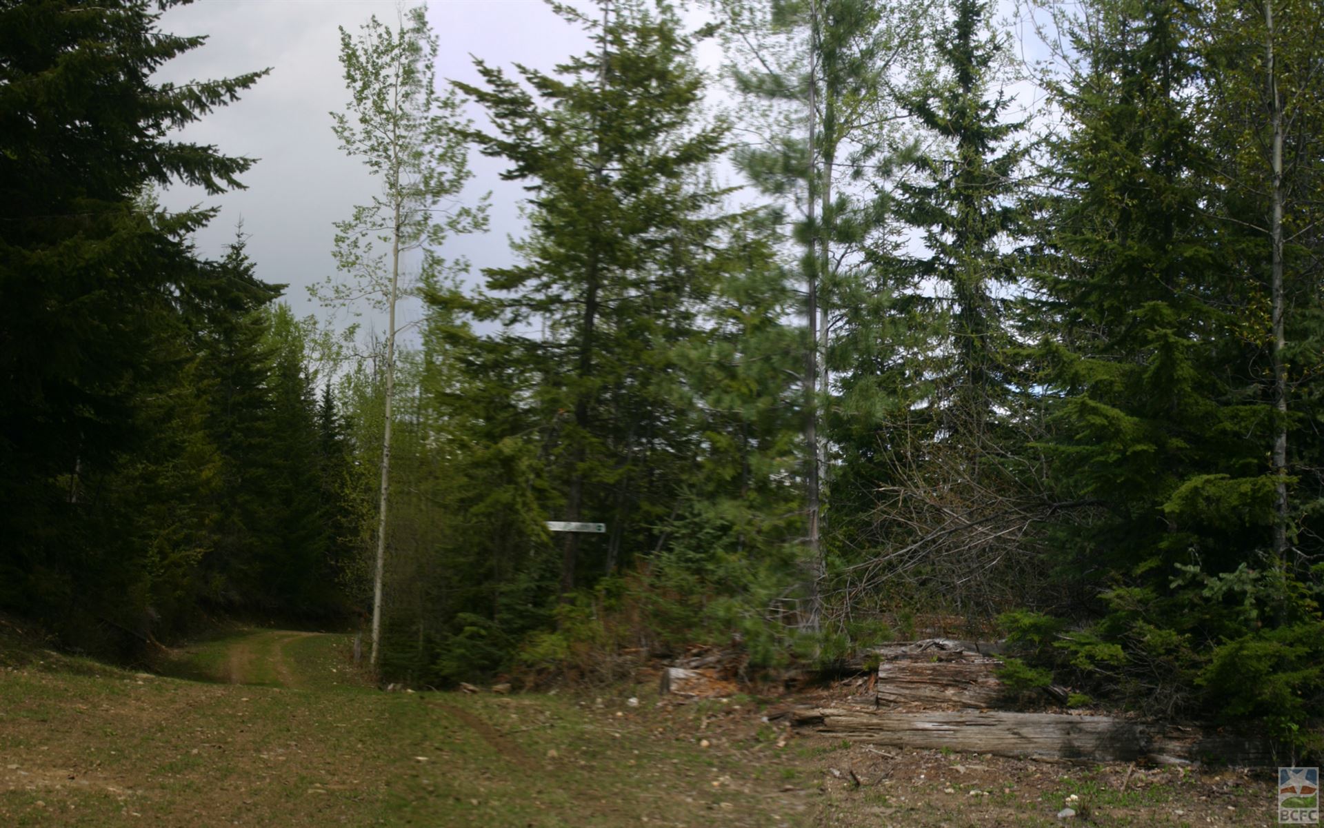 Locations Hub - Cec's Cabin Larch Hills