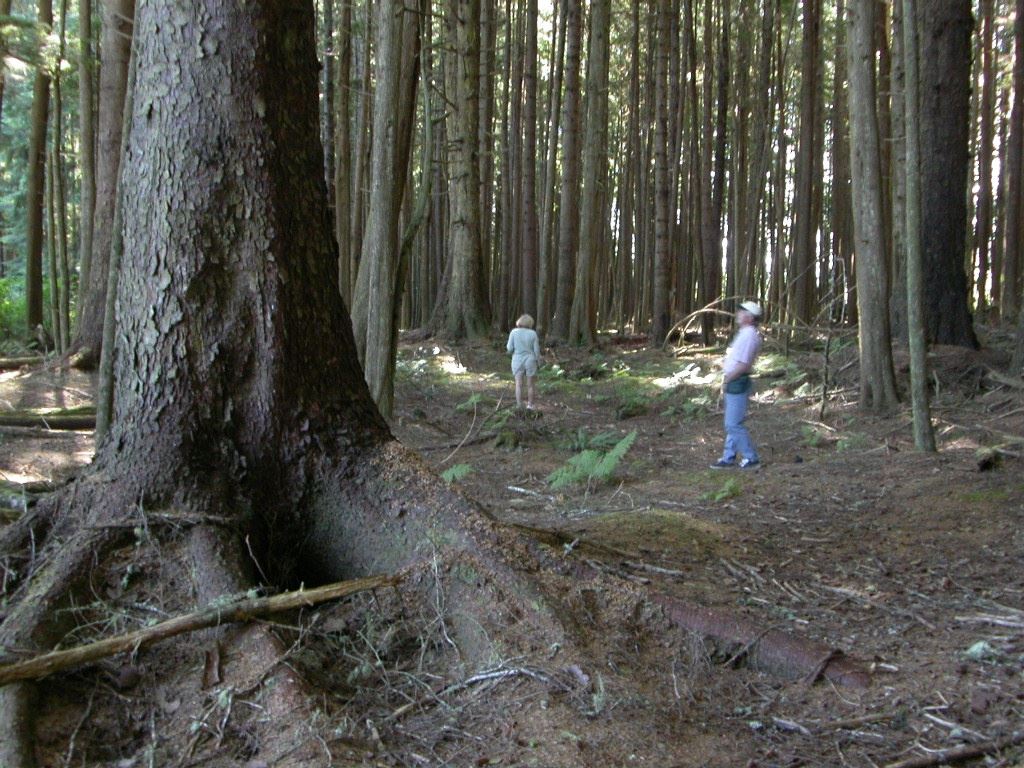 Locations Hub - Suquash Coal Mine Ruins