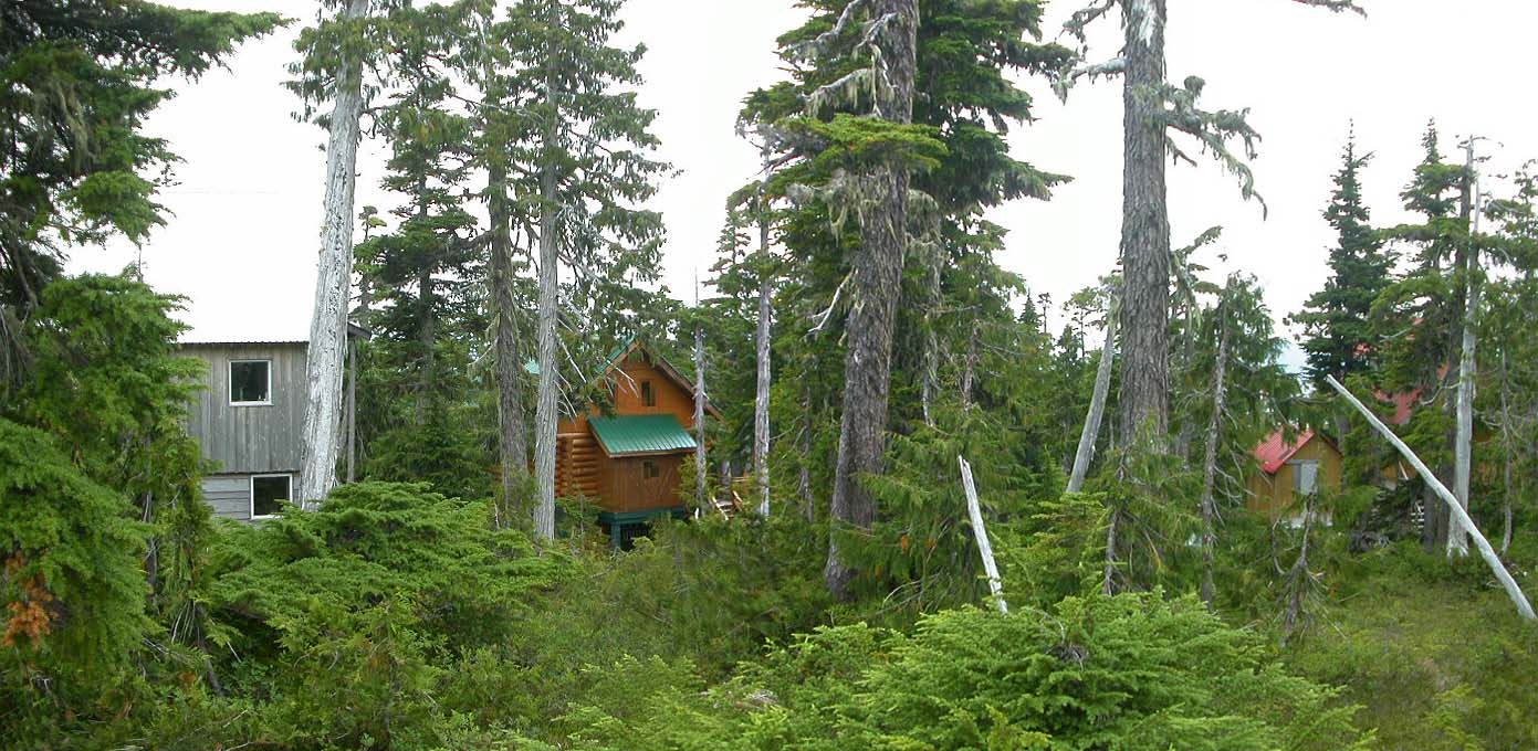 Locations Hub - Mount Cain Ski Village