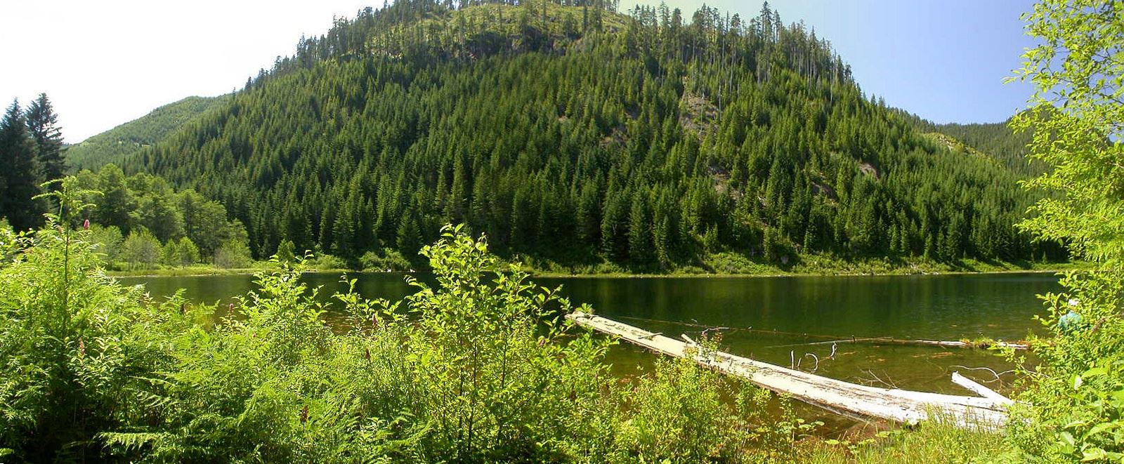 Locations Hub - Frost Lake