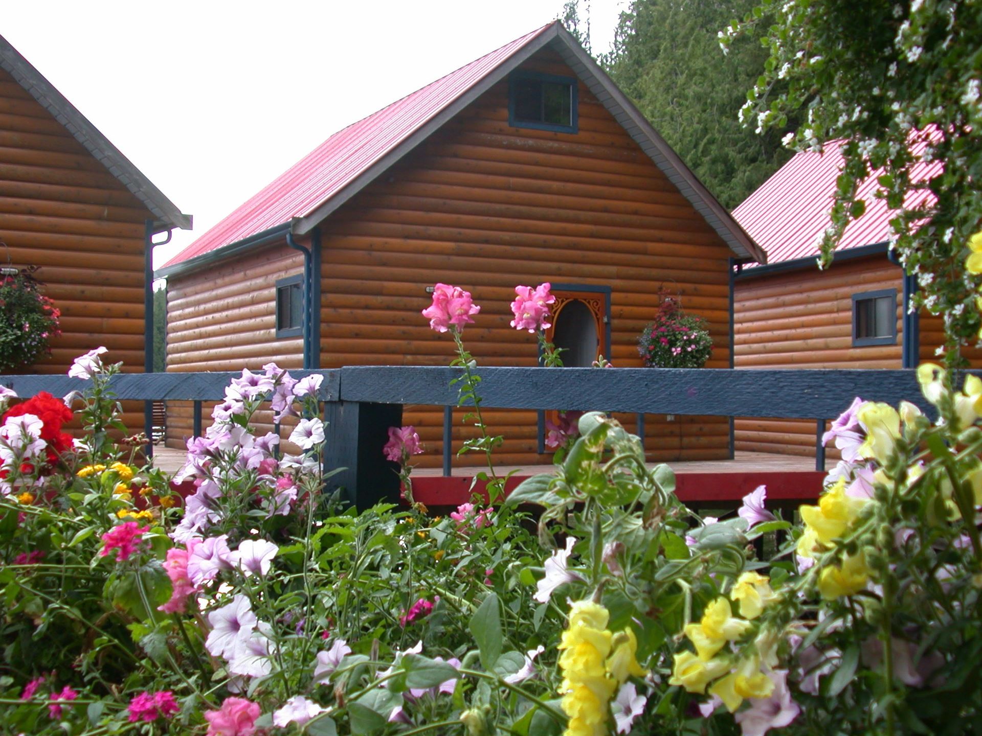 Locations Hub - Nimmo Bay Resort