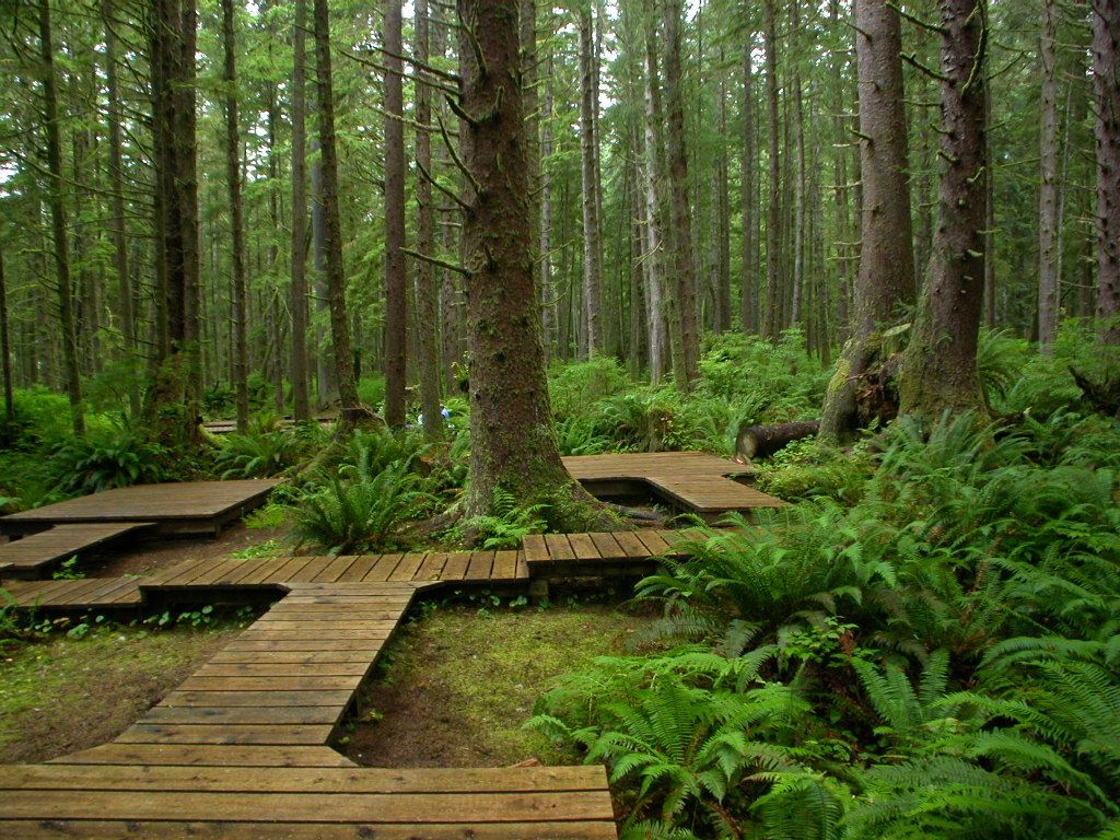 Locations Hub - Eric Lake Campsite