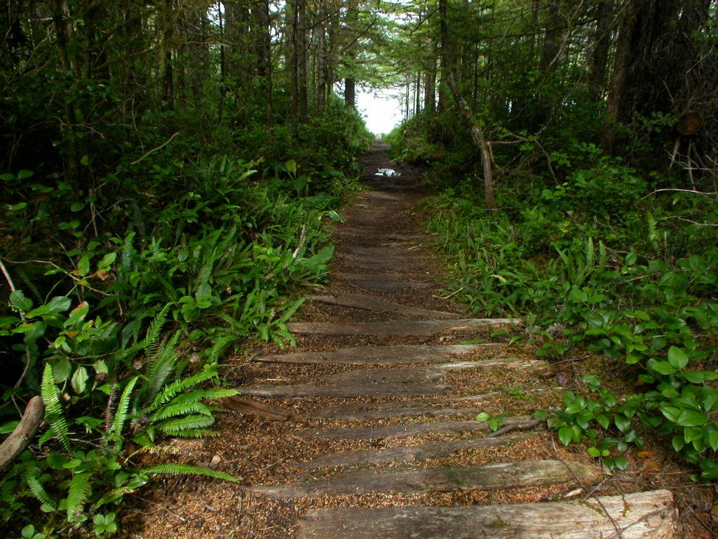 Locations Hub - Eric Lake Campsite