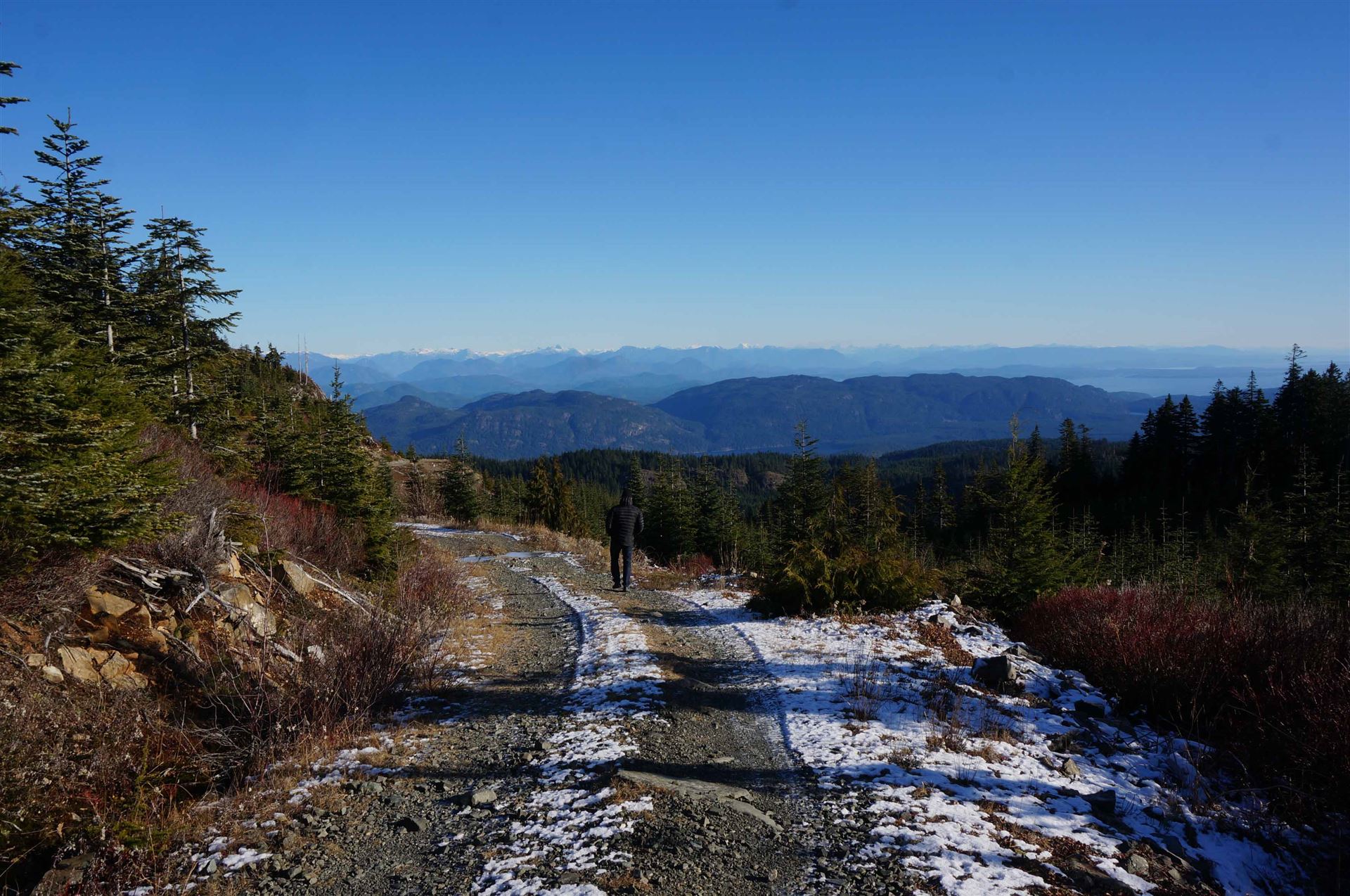 Locations Hub - Menzies Mountain Lookout