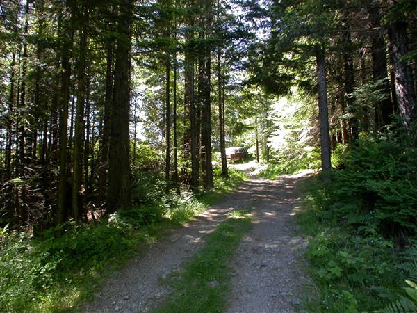 Locations Hub - Menzies Mountain Lookout
