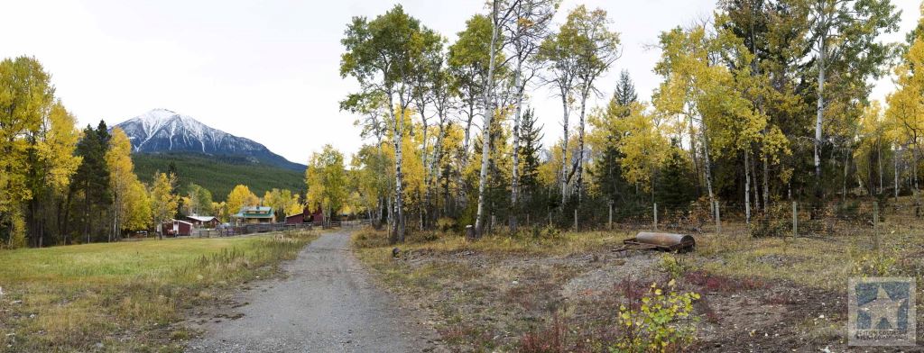 Locations Hub - White Saddle Ranch