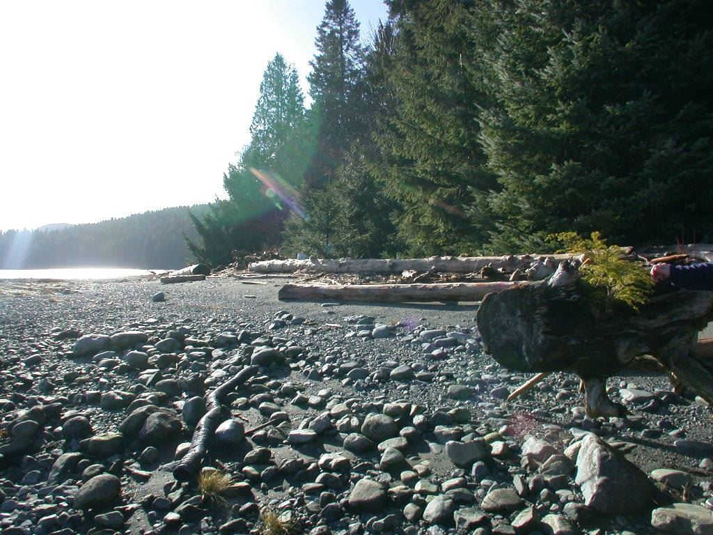 Locations Hub - McMullen Point Beach
