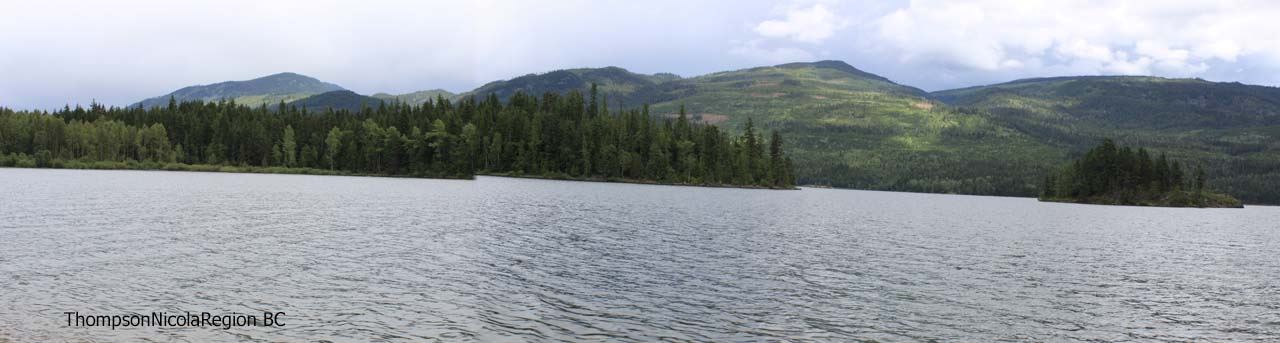 Locations Hub - Adams Lake Gordon Bay Rec Site 63 km