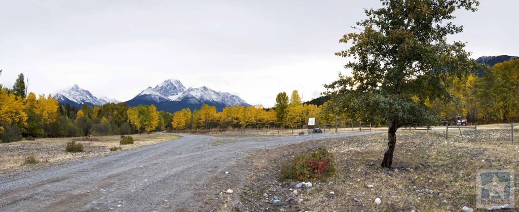 Locations Hub - White Saddle Ranch