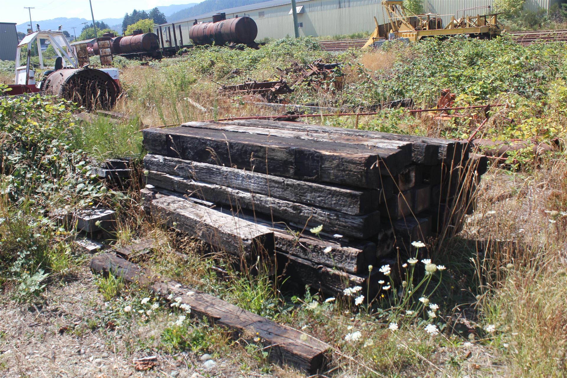 Locations Hub - Alberni Pacific Railway