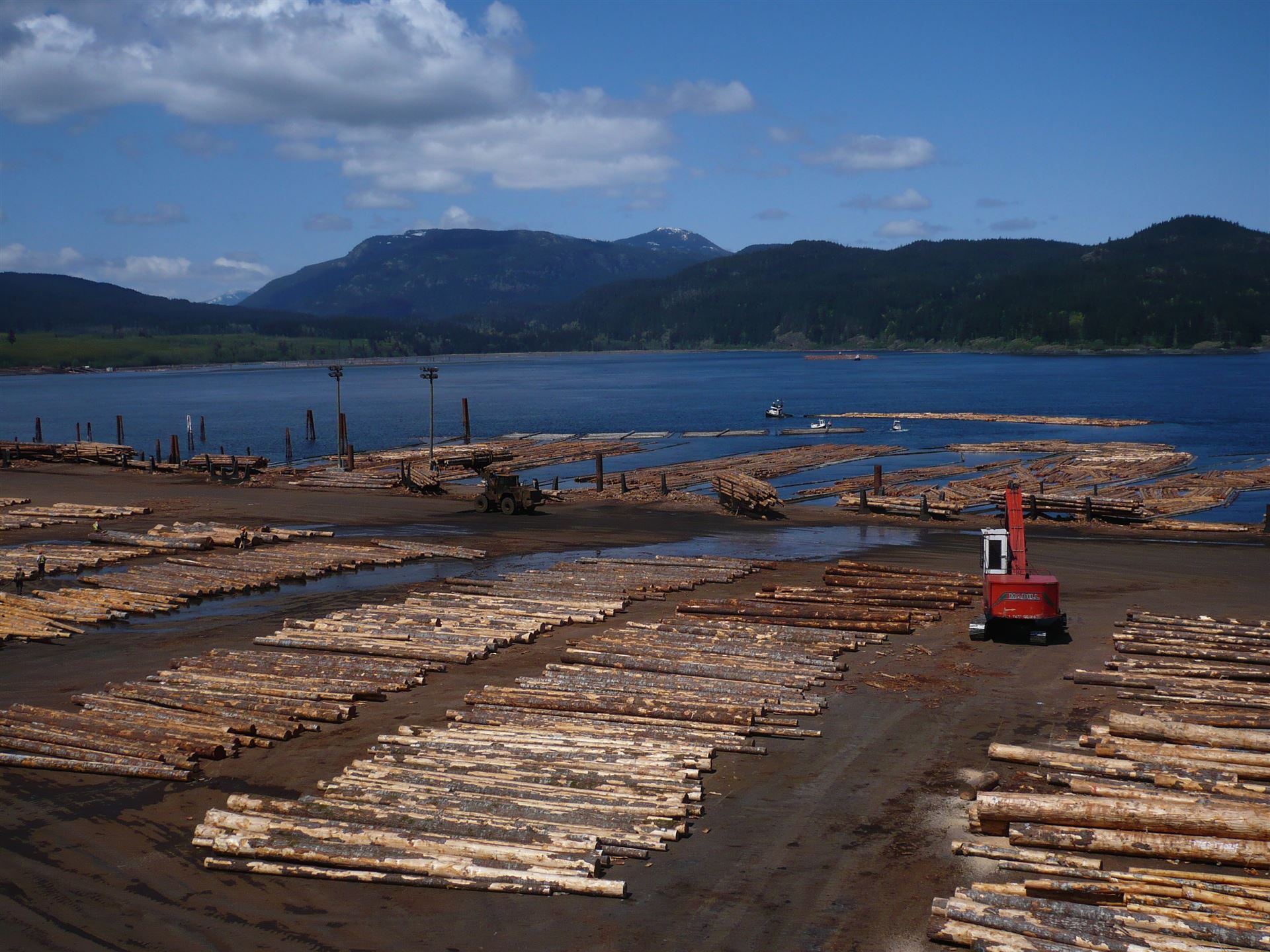 Locations Hub - Menzies Bay Log Sort