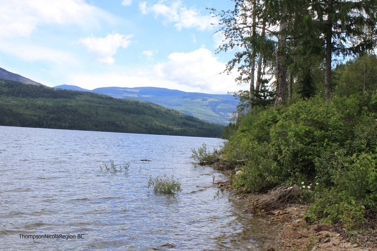 Locations Hub - Adams Lake Gordon Bay Rec Site 63 km