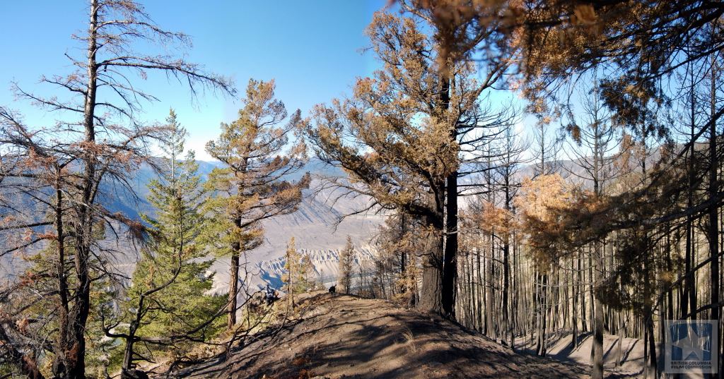 Locations Hub - Cougar Point Viewpoint overlooking High Bar Valley