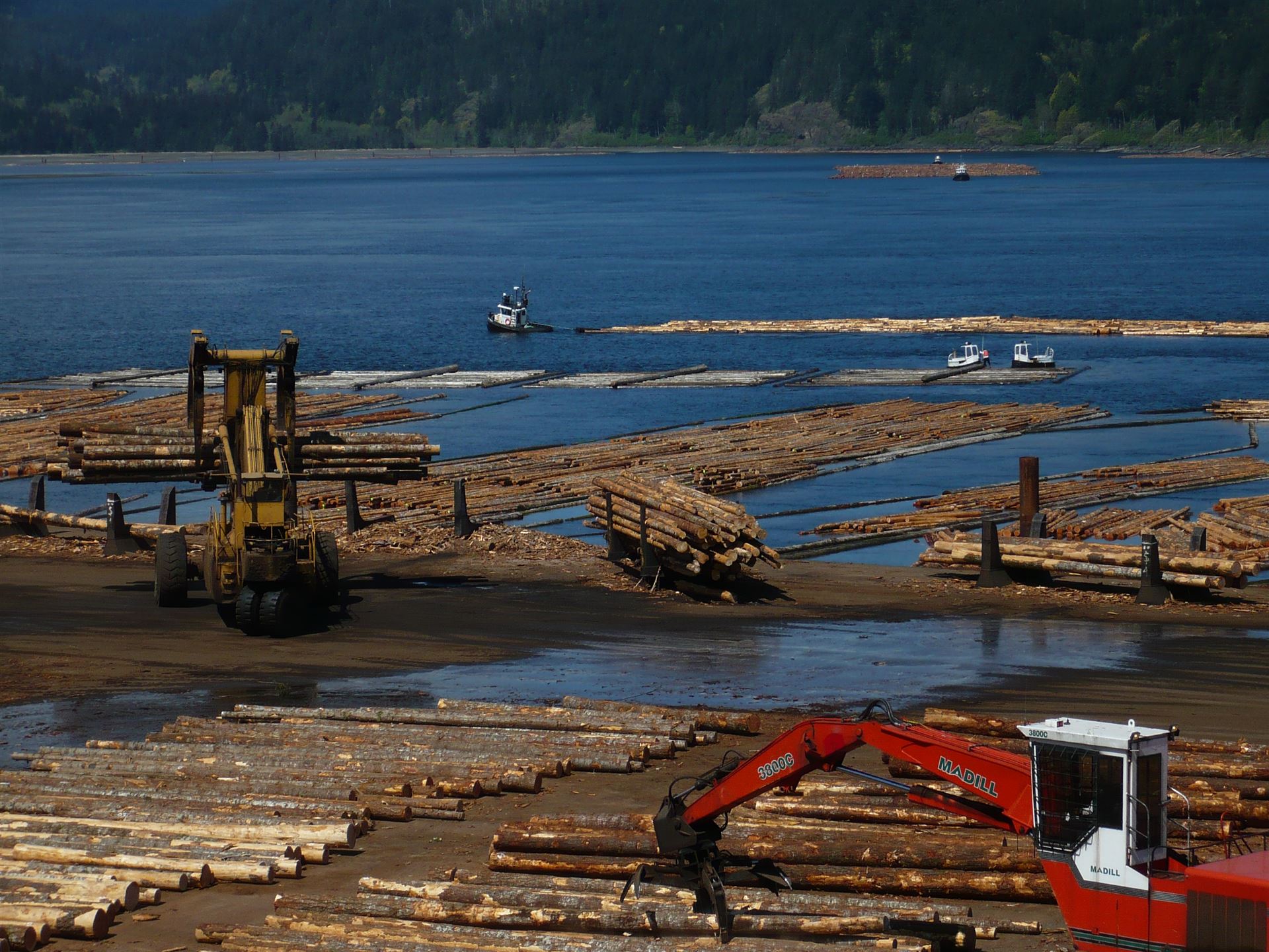 Locations Hub - Menzies Bay Log Sort