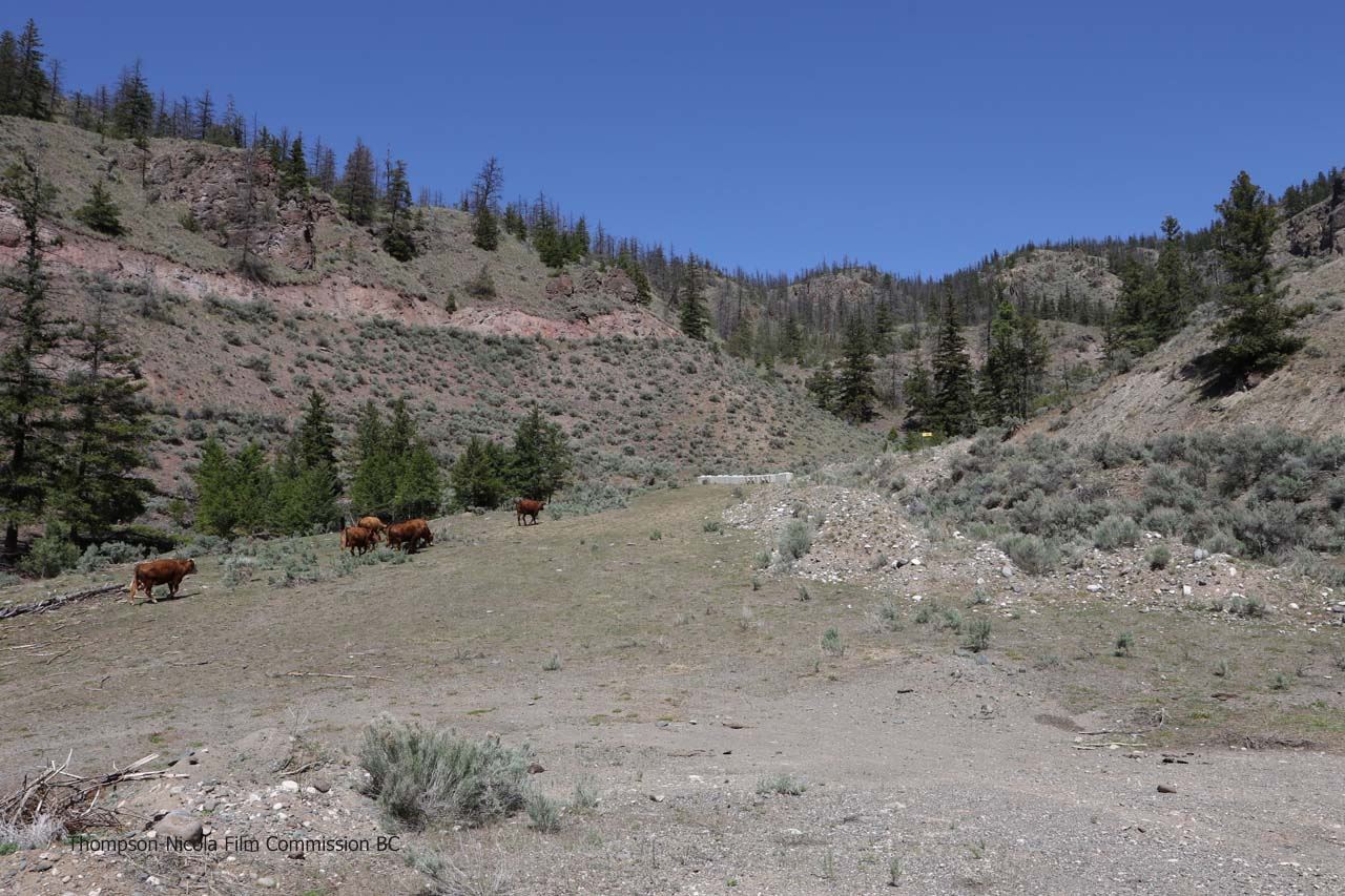 Locations Hub - Criss Creek Forest Service Road - Vidette Canyon
