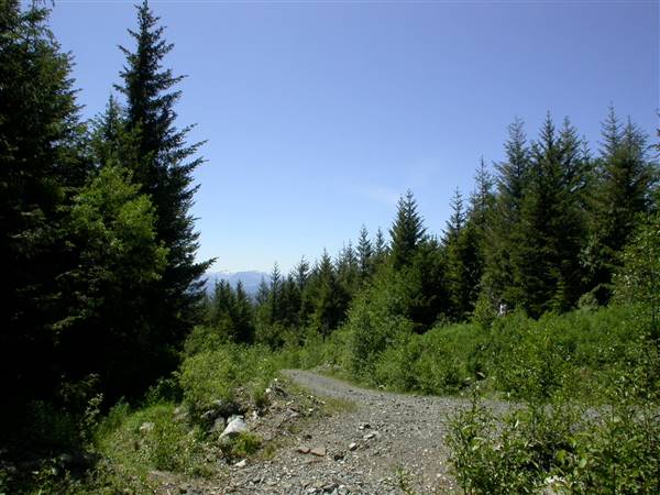Locations Hub - Menzies Mountain Lookout